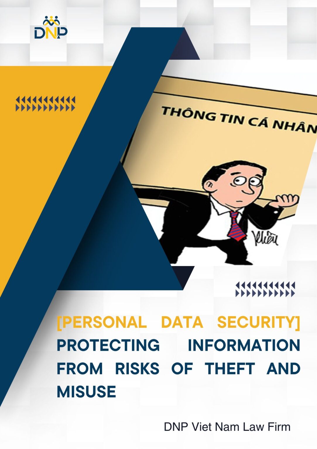 Protecting Personal Data from Risks of Theft and Misuse